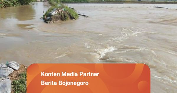 Tanggul Kali di Kanor, Bojonegoro Jebol, Ratusan Hektare Sawah Tergenang | kumparan.com